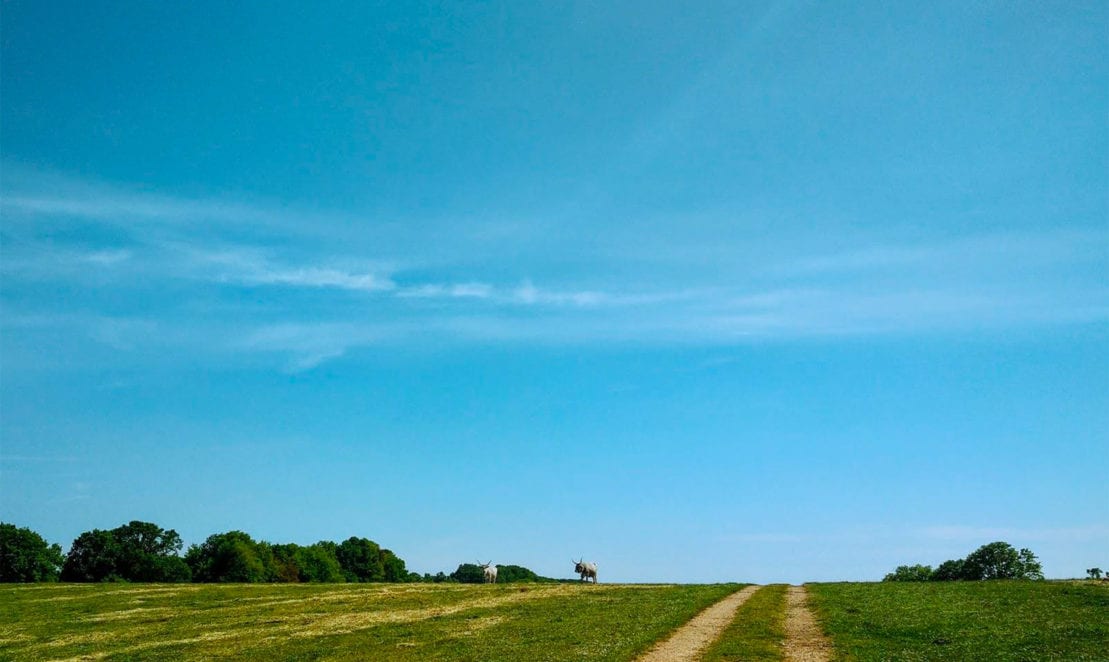 Rome Countryside Luxury Villa | Soprano Top Luxury Rentals